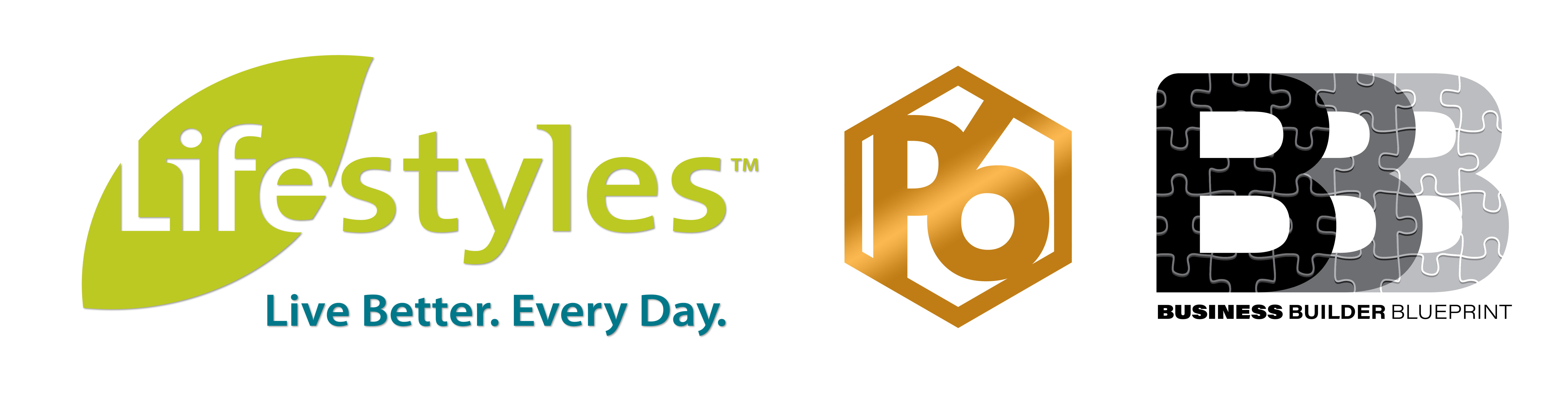 Business Builder Blueprint - P6 BBB PRO